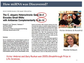 Mi rna and abiotic stress in plant | PDF