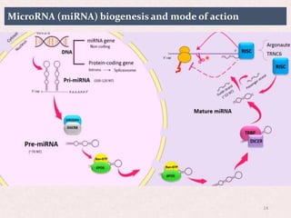 Mi rna and abiotic stress in plant | PDF
