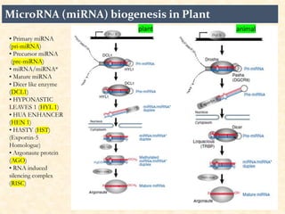 Mi rna and abiotic stress in plant | PDF