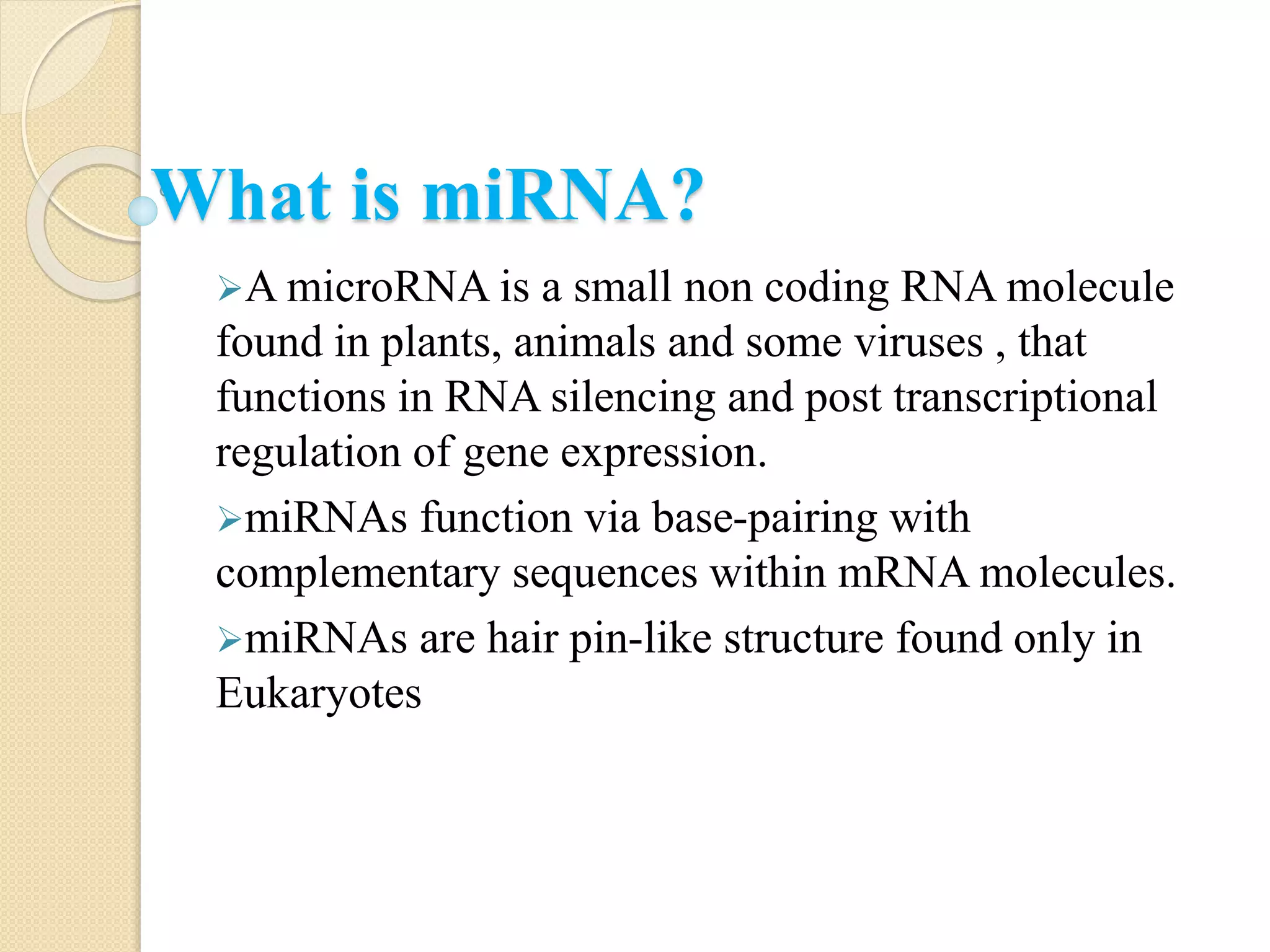 miRNA.pptx