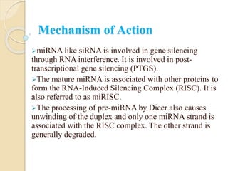 miRNA.pptx