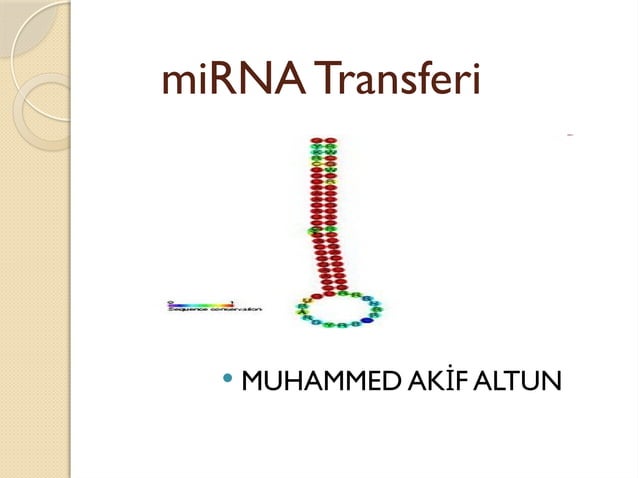 mirna.pptx mirna.pptxmirna.pptxmirna.pptxmirna.pptxmirna.pptxmirna.pptxmirna.pptx