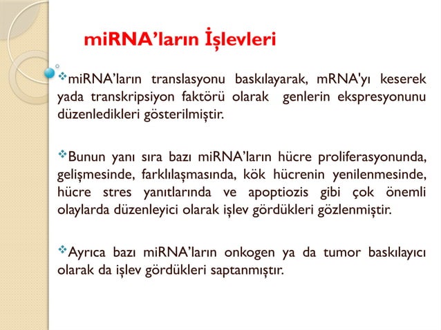 mirna.pptx mirna.pptxmirna.pptxmirna.pptxmirna.pptxmirna.pptxmirna.pptxmirna.pptx