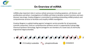 MiRNA Agomir/Antagomir Synthesis Services | PPTX