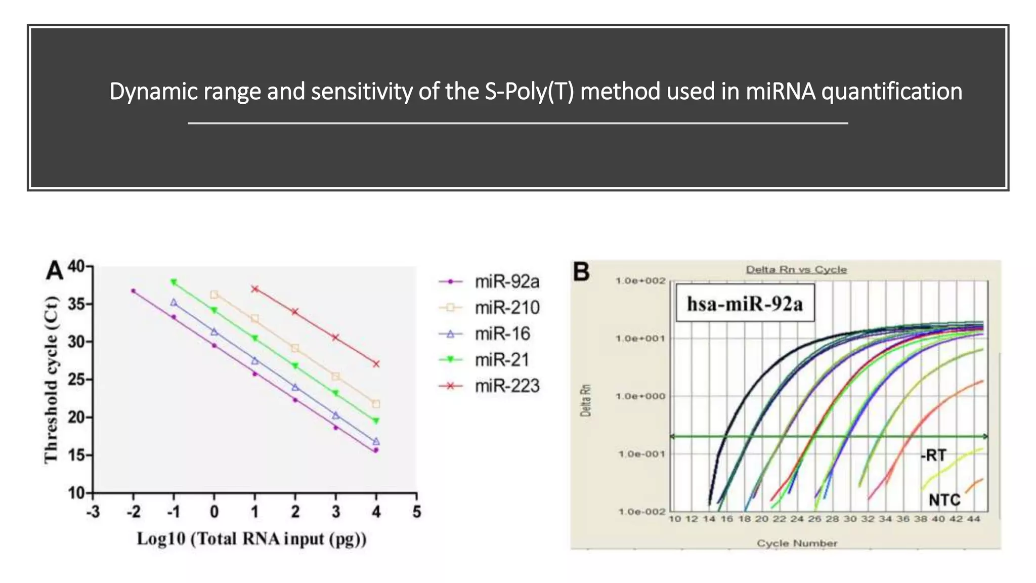 Mirna biogenesis, mechanism of action, isolation protocol, and quantification methods | PPTX ...