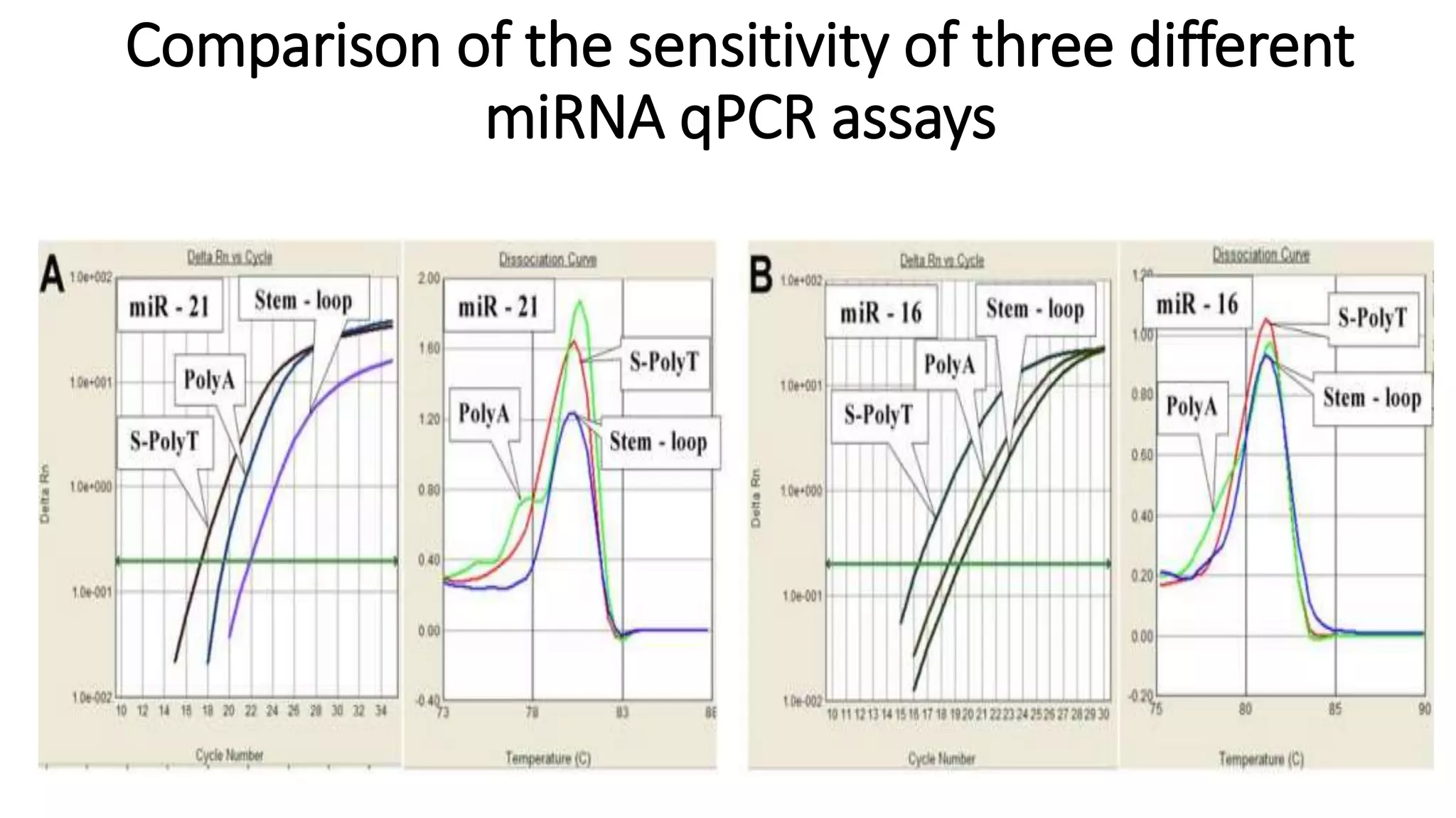 Mirna biogenesis, mechanism of action, isolation protocol, and quantification methods | PPTX ...