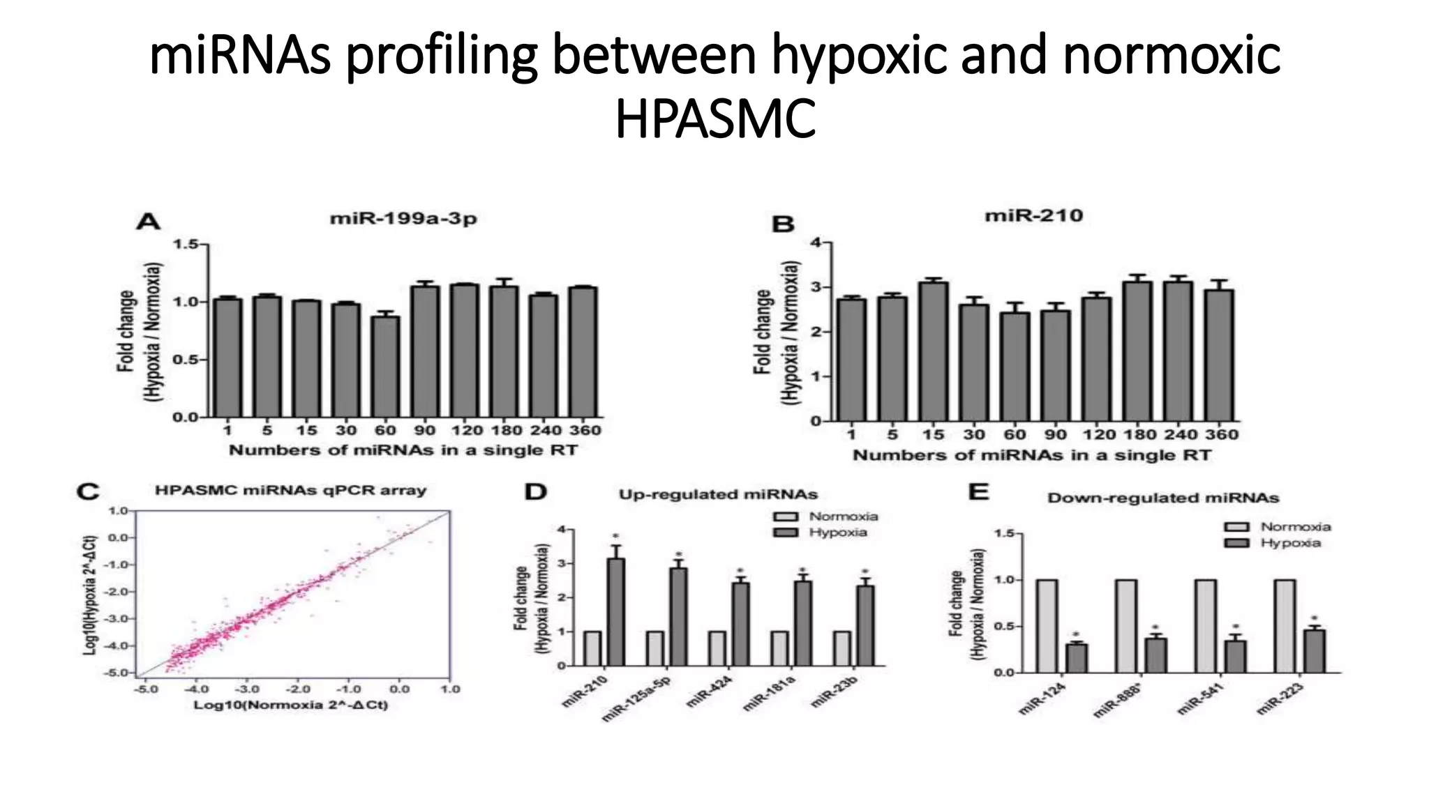 Mirna biogenesis, mechanism of action, isolation protocol, and ...