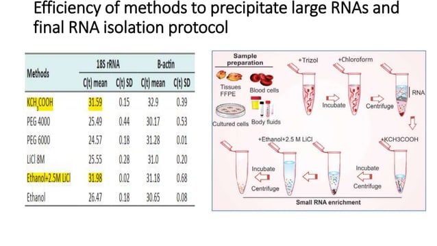 Mirna biogenesis, mechanism of action, isolation protocol, and ...