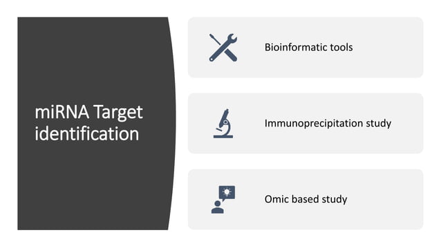 Mirna biogenesis, mechanism of action, isolation protocol, and ...