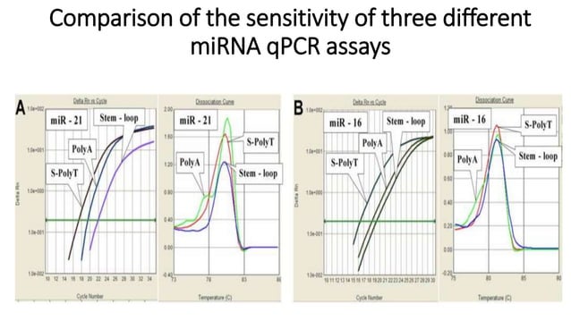 Mirna biogenesis, mechanism of action, isolation protocol, and ...