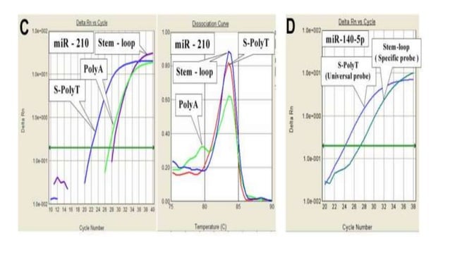 Mirna biogenesis, mechanism of action, isolation protocol, and ...