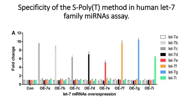 Mirna biogenesis, mechanism of action, isolation protocol, and ...