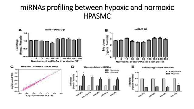 Mirna biogenesis, mechanism of action, isolation protocol, and ...