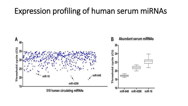 Mirna biogenesis, mechanism of action, isolation protocol, and ...
