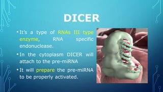 Micro RNA biogenesis, function and nomenclature | PPTX
