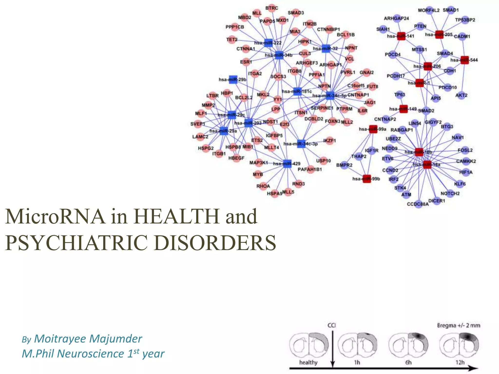 MicroRNA in Health and Disease | PPTX