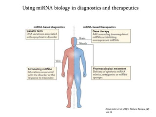 MicroRNA in Health and Disease | PPTX