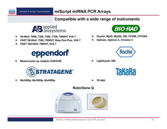 Mi rna part iii_2013 | PPT