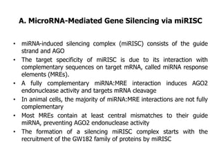 miRNAs based disease resistance.pptx