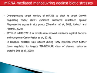 miRNAs based disease resistance.pptx