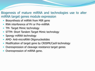 miRNAs based disease resistance.pptx