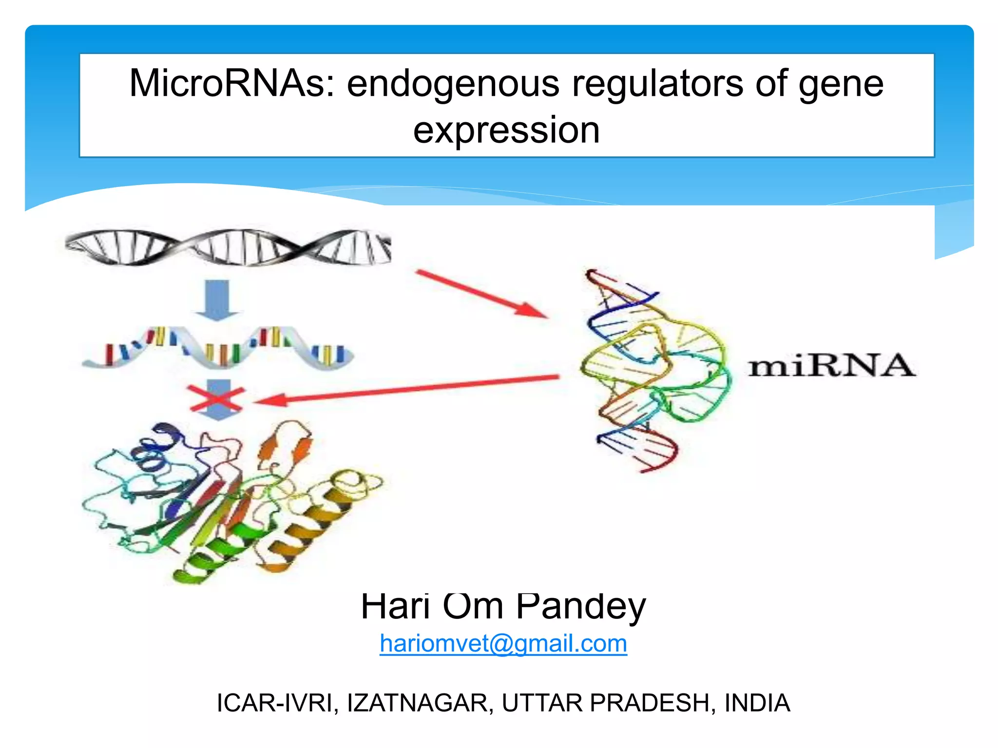 miRNAs endogenous regulator of gene expression | PPTX