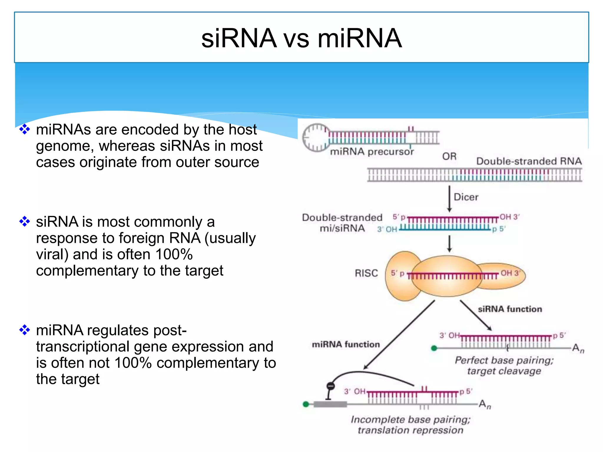 miRNAs endogenous regulator of gene expression | PPTX