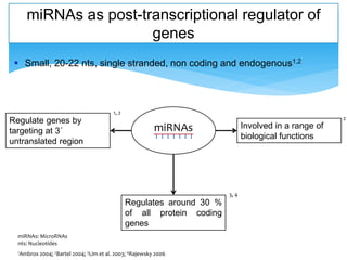 miRNAs endogenous regulator of gene expression | PPTX