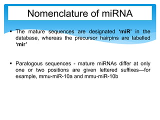 miRNAs endogenous regulator of gene expression | PPTX