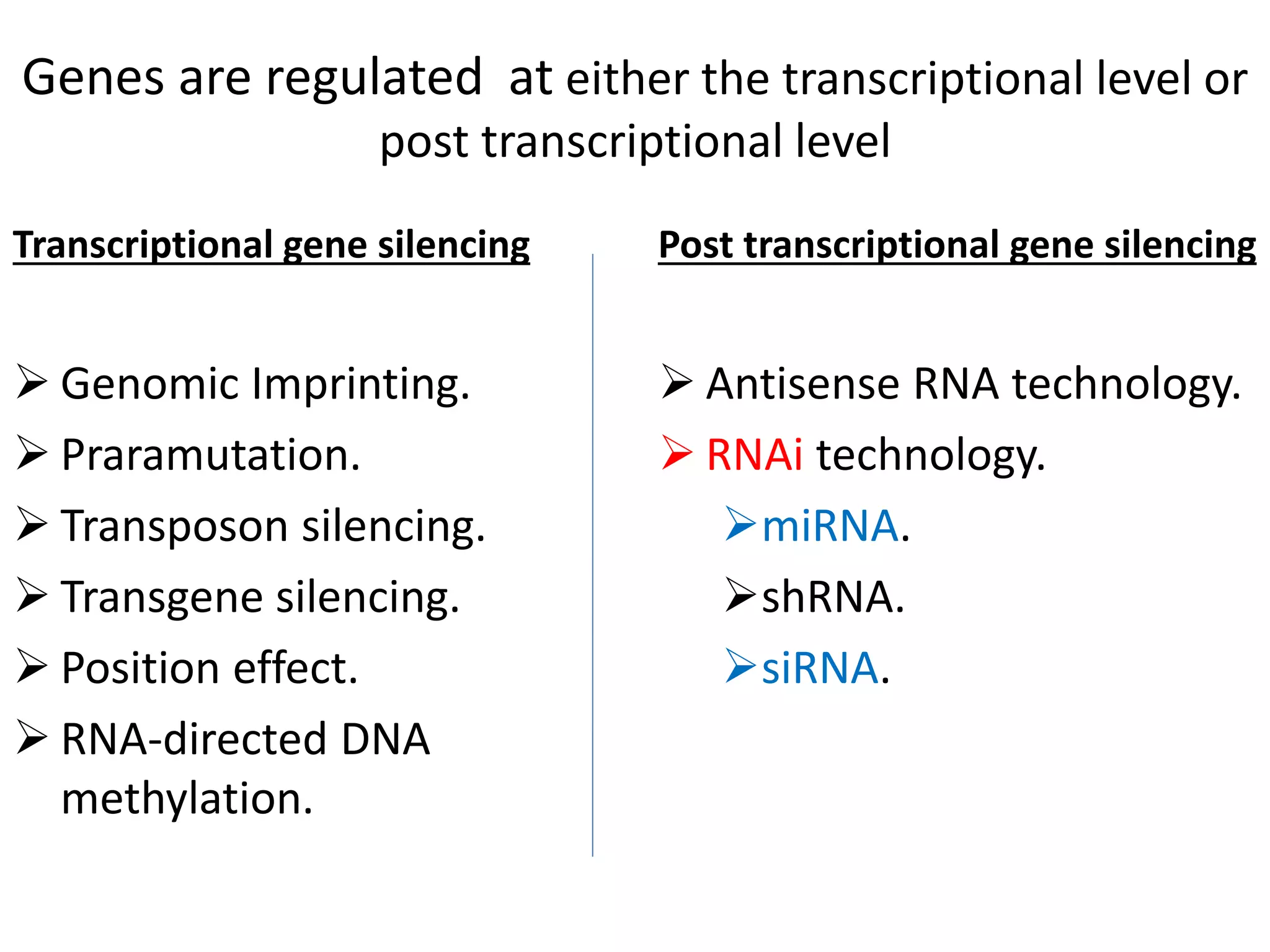 mi RNA and siRNA | PPTX