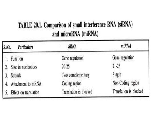 mi RNA and siRNA | PPTX | Biotech and Biomedical Industry | Industries