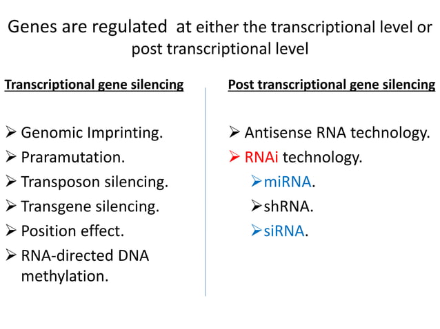 mi RNA and siRNA | PPTX | Biotech and Biomedical Industry | Industries