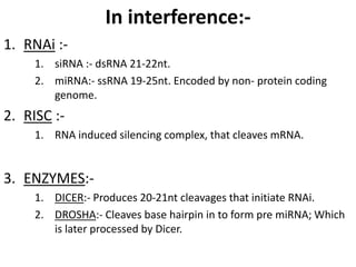 mi RNA and siRNA | PPTX | Biotech and Biomedical Industry | Industries