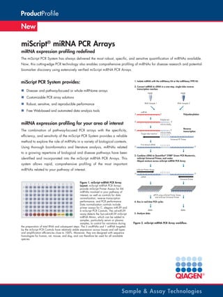 Mi rna toss_set | PDF | Genetics | Science
