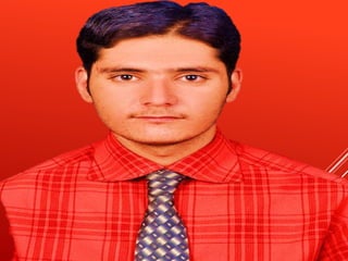 Mir Noor Ahmed Langove | PPT