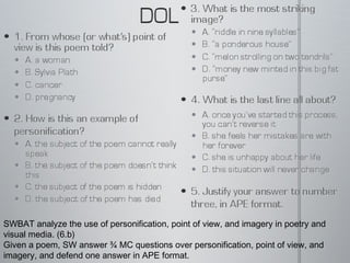 Mirror by Sylvia Plath | PPT