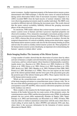 Mirror neurons | PDF