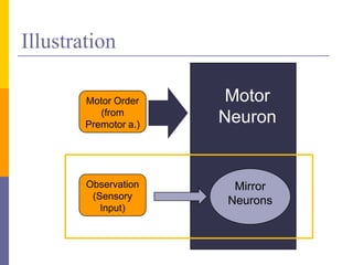 Mirror neurons | PPTX