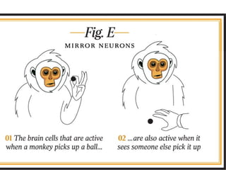 Mirror neurons | PPT