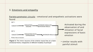 Exploring the Role of Mirror Neurons: Understanding Their Impact on ...