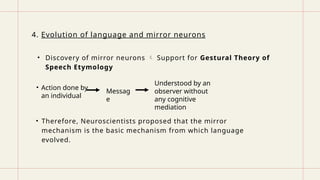 Exploring the Role of Mirror Neurons: Understanding Their Impact on ...