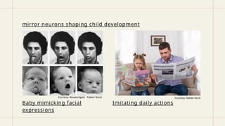 Exploring the Role of Mirror Neurons: Understanding Their Impact on ...