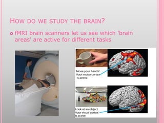 Mirror neurons and autism | PPTX