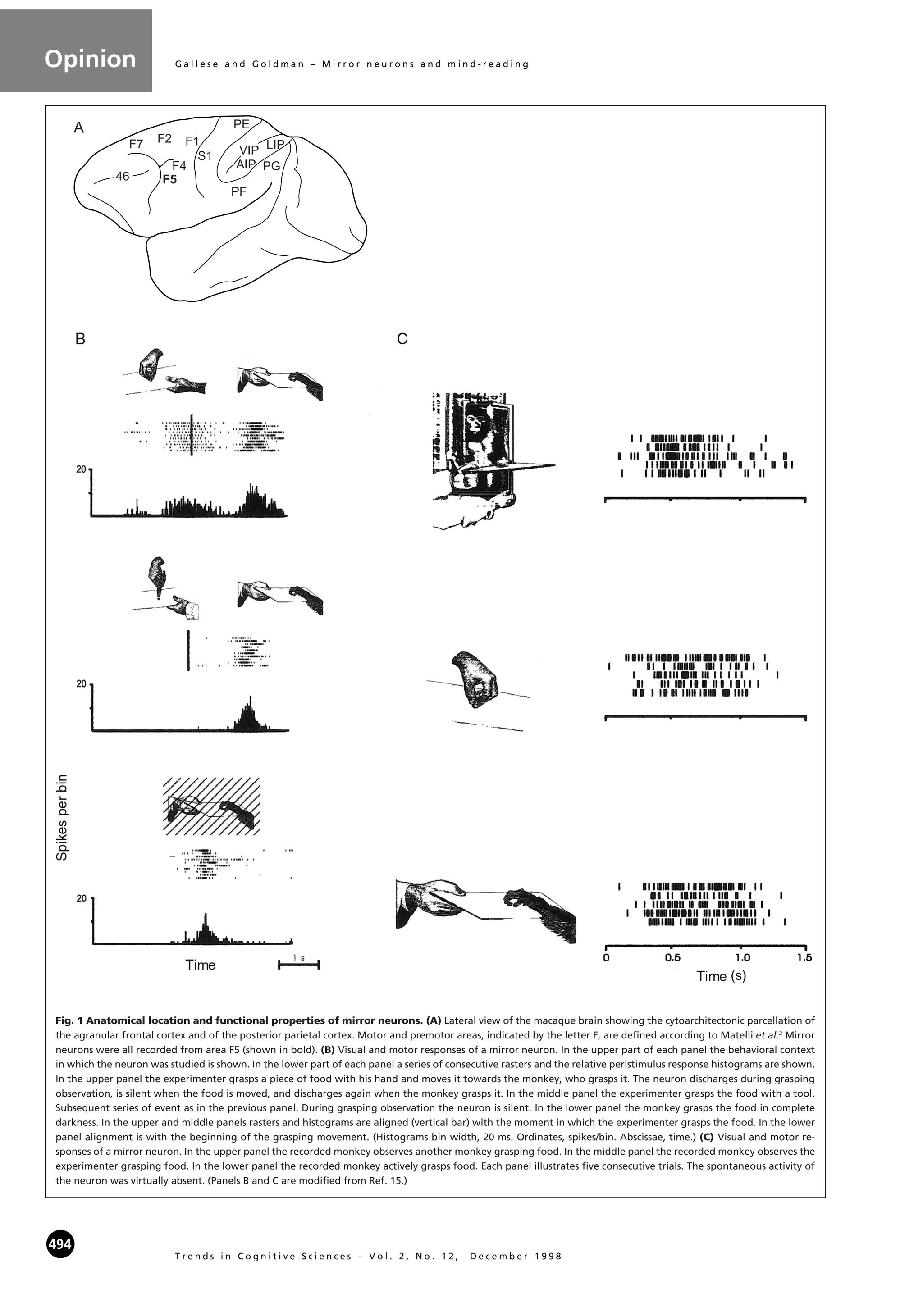 Mirror neurons and the simulation theory of mind reading | PDF