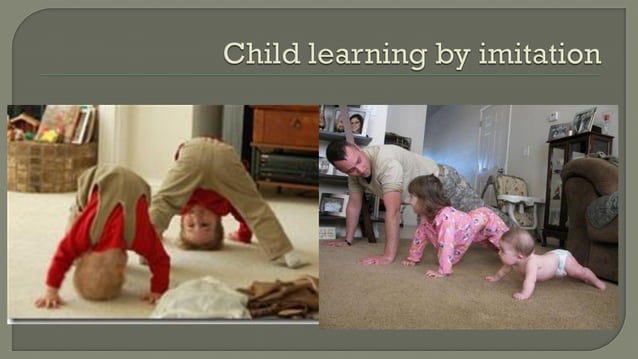 Mirror neurons and values | PPT