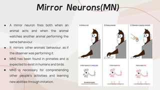 MIRROR NEURONS PPT 29 JUNE.pptx