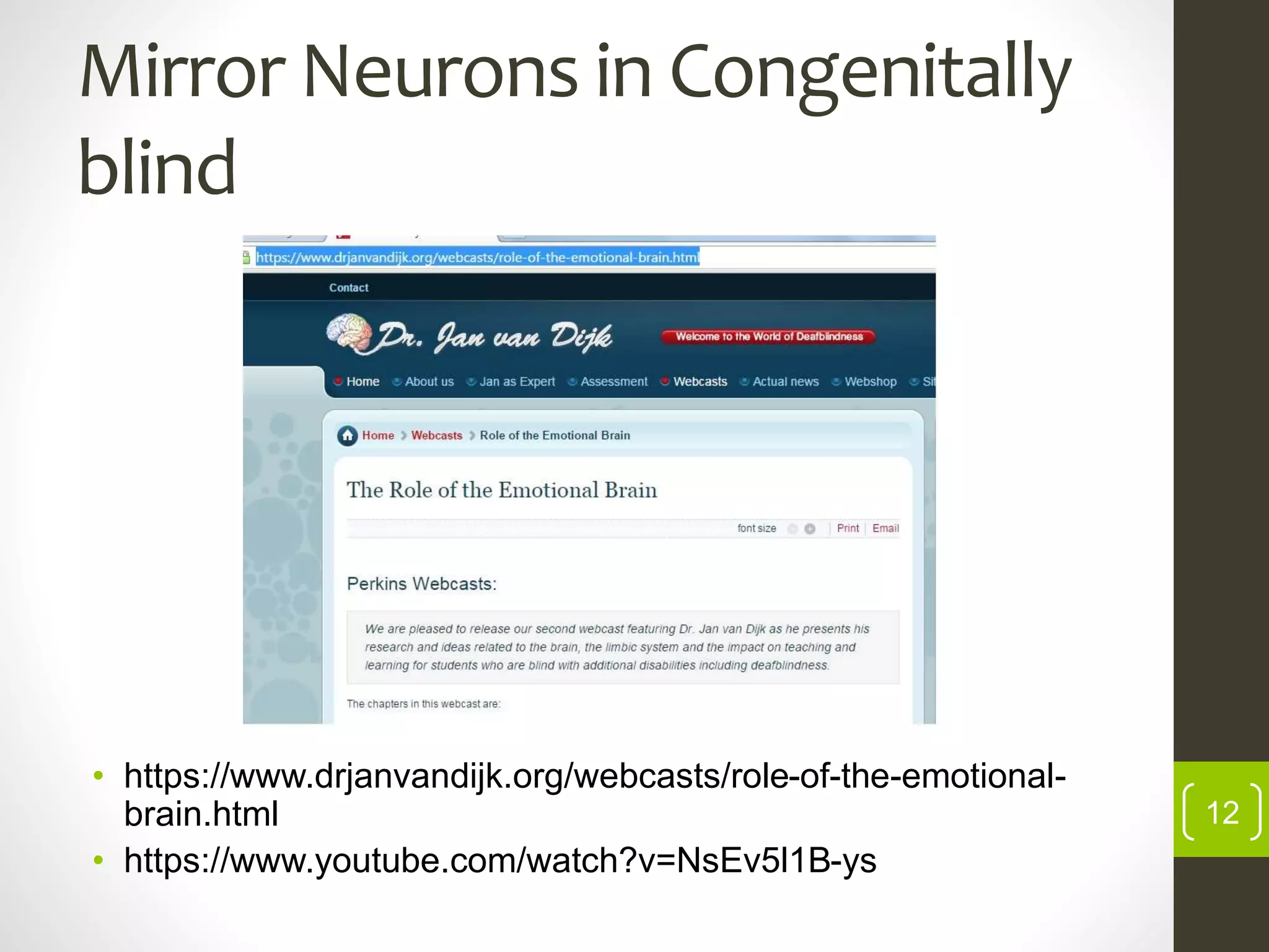 Mirror neuron system in neuro rehabilitation | PPTX
