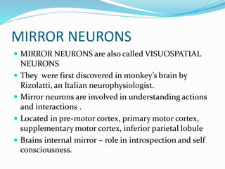 MIRROR THERAPY ppt.pdf