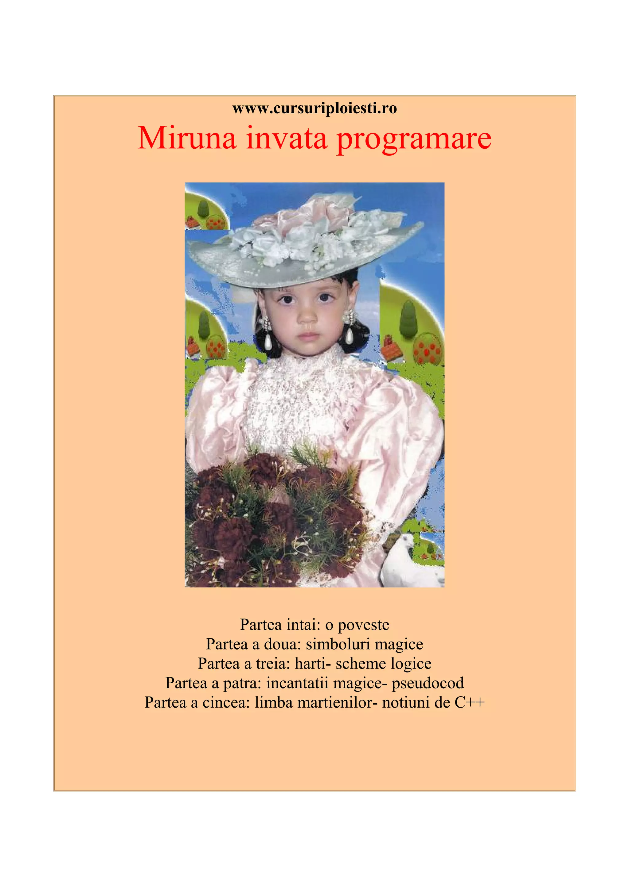 Miruna invata programare | PDF