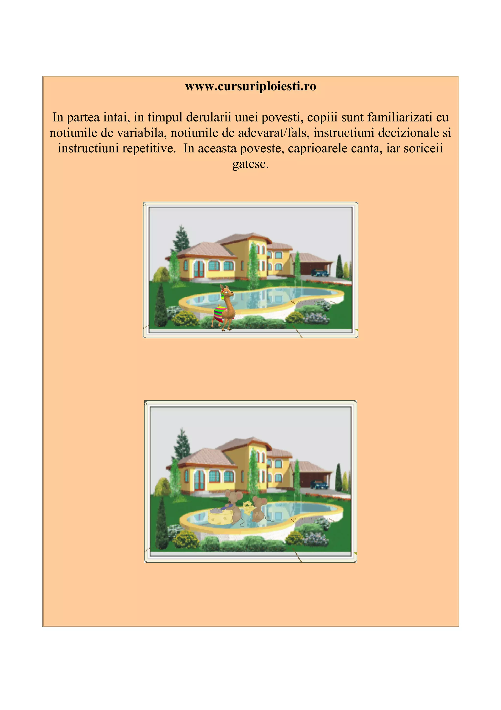 Miruna invata programare | PDF